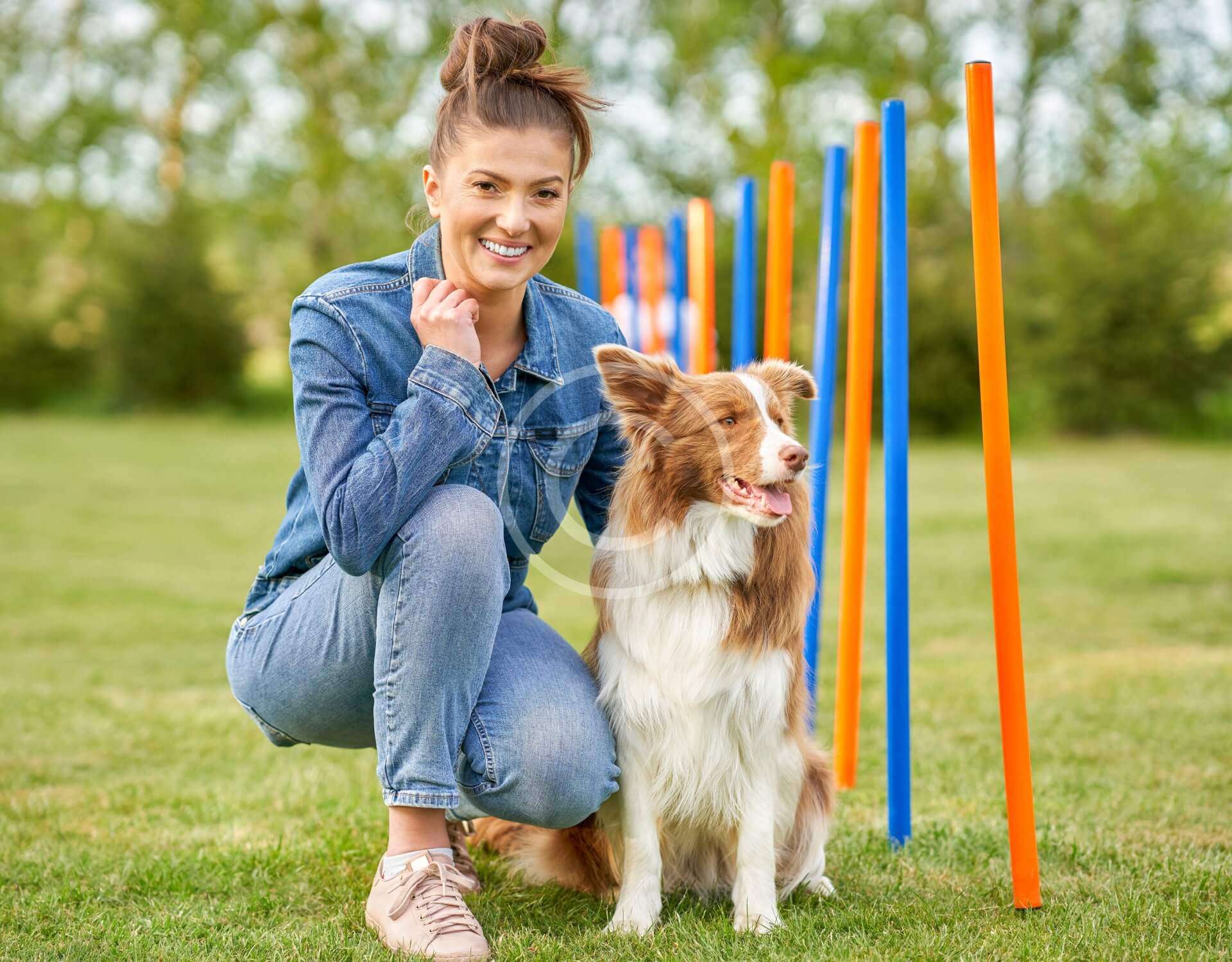 2025 Dog Exhibits That Will Make Your Tail Wag - Aarmageddon